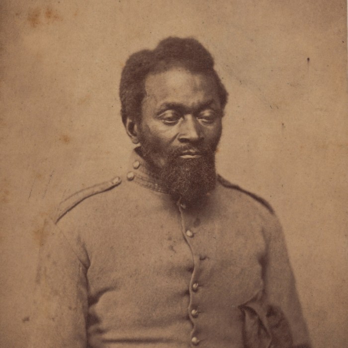 Nicholas Biddle | An African-American Civil War hero from Schuylkill ...